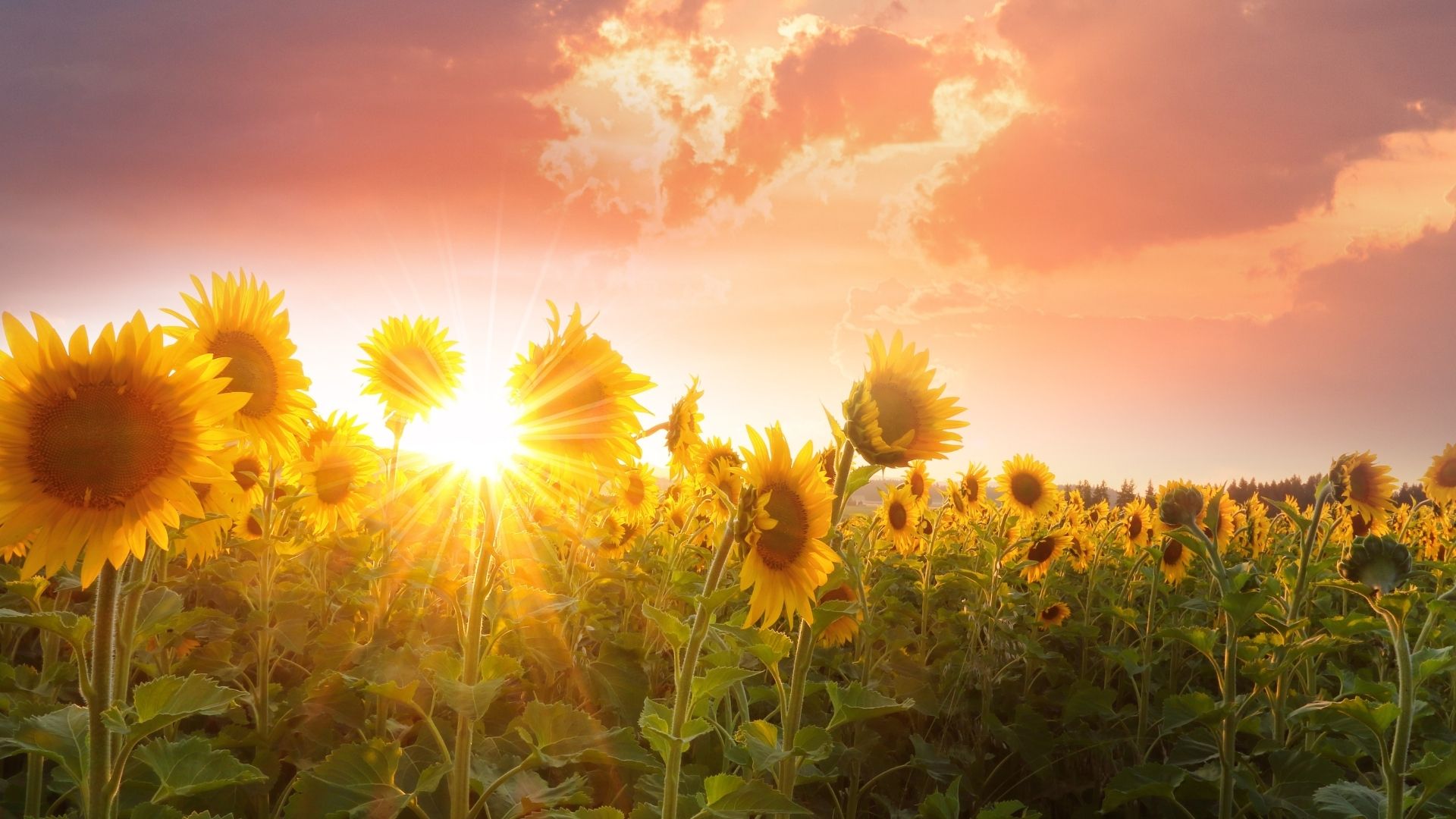 Don’t Let Anyone Look Down on You | Christ Fellowship Church