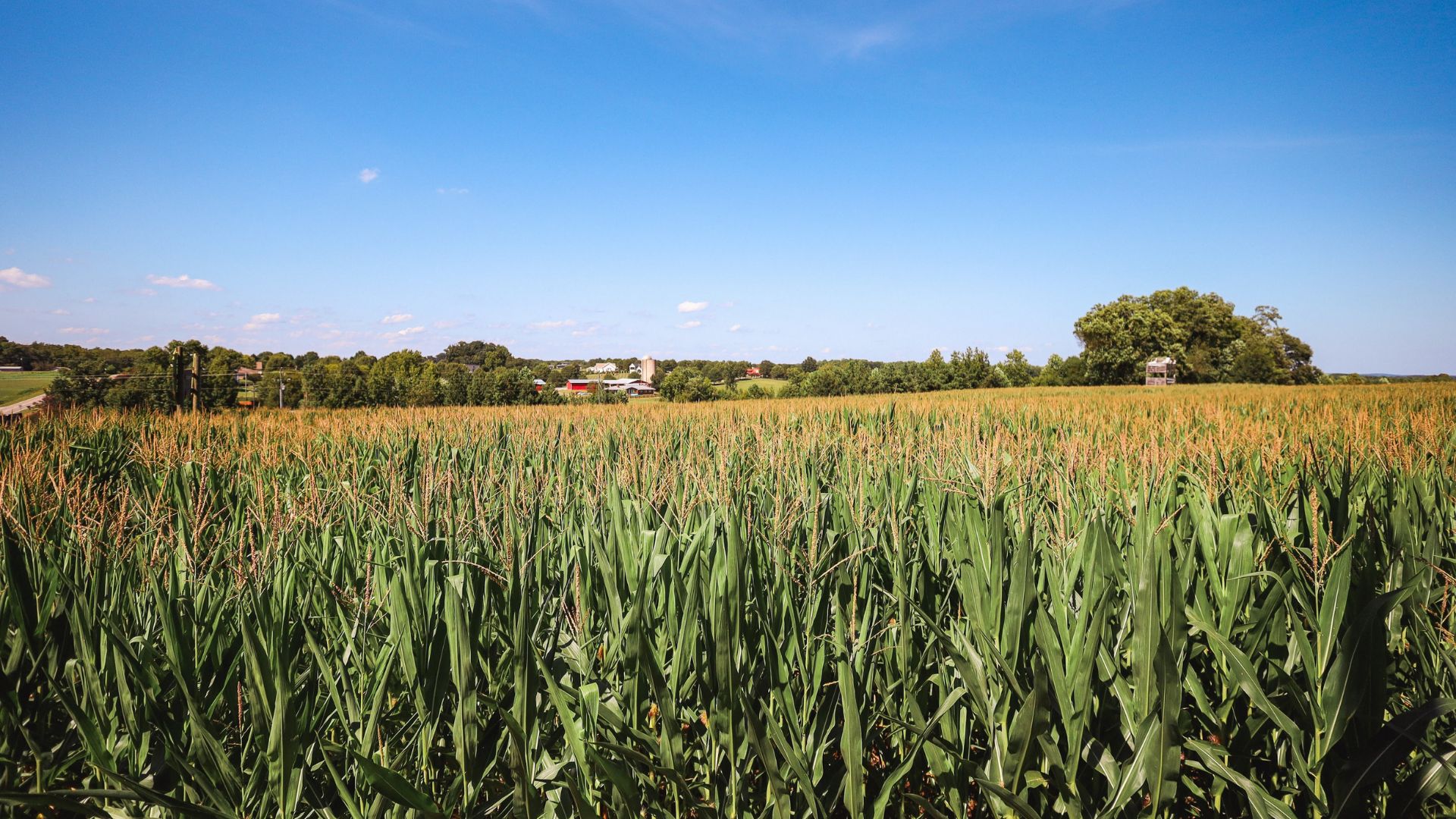 God is Your Provider Wallpapers | Christ Fellowship Church